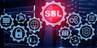 Home Page - CodeLover Technology ,Website Designing Company in Delhi, New Delhi,Noida,Gourgaon ...